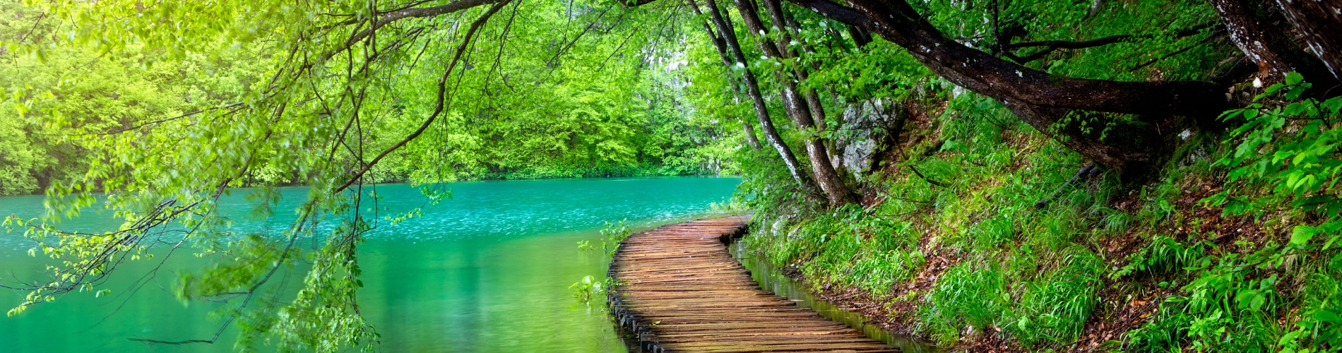 The Journey Christian Center – Find healing, purpose, and hope